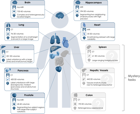 Computational Pathology Group