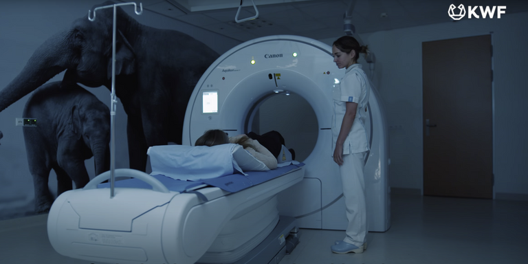 Diagnostic Image Analysis Group