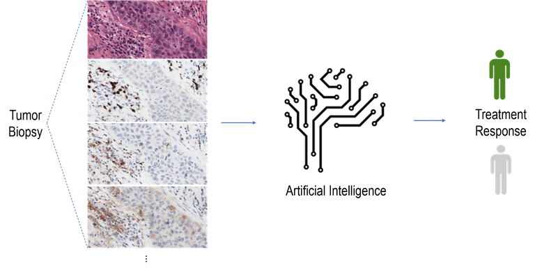 Computational Pathology Group
