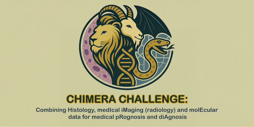 CHIMERA - Computational Pathology Group